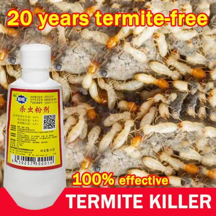Termite killer powder Ants all dead termite bait control ants killer ...