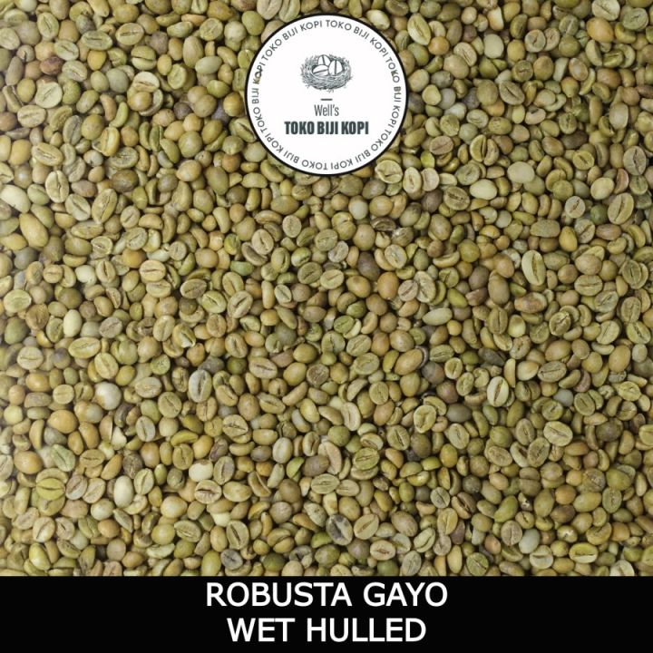 GREEN BEAN ROBUSTA GAYO GRADE 1 BIJI KOPI MENTAH - 1 KG | Lazada Indonesia