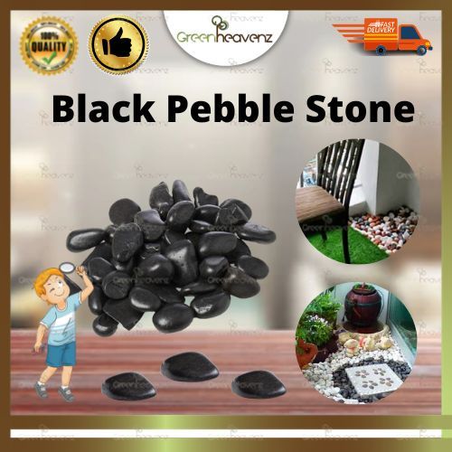 GHZ Black Pebble Stone Batu Hitam Massage Stone Landscape Decoration ...