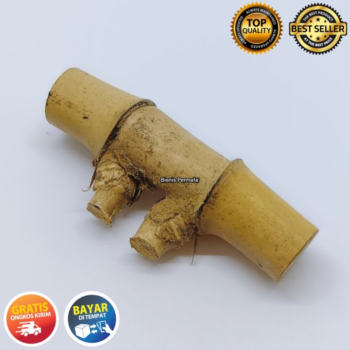 Handmade Pring Pethuk Bambu Pethuk Bambu Temu BP-102 | Lazada Indonesia