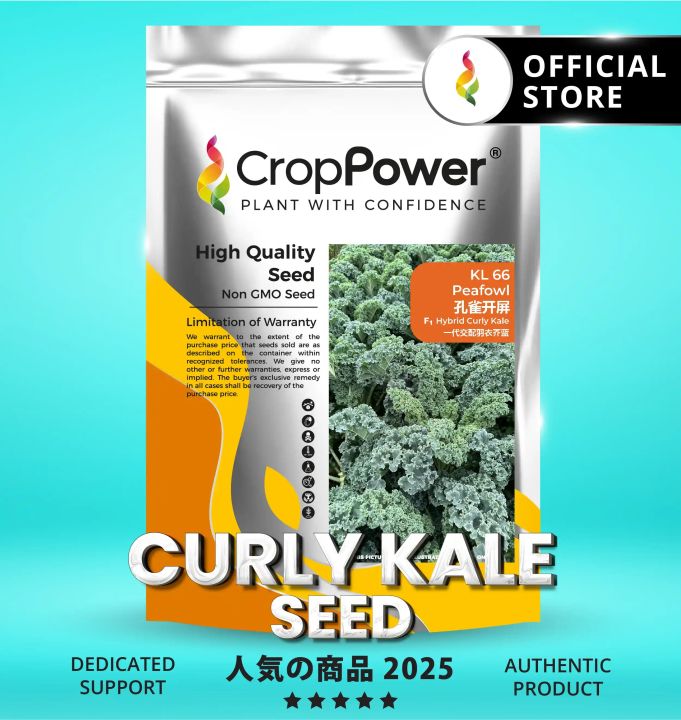 (10,000 SEEDS) Biji Benih Kailan Kerinting Peafowl KL66 CROP POWER F1 ...