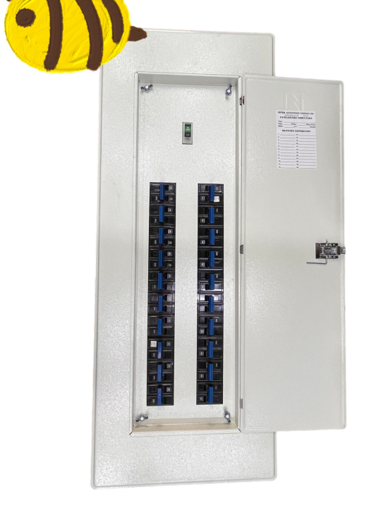 Panel Board 150A 2Pole 250SPS Main 20 Branches 2 Pole Bolt On ( Taiyou) | Lazada PH