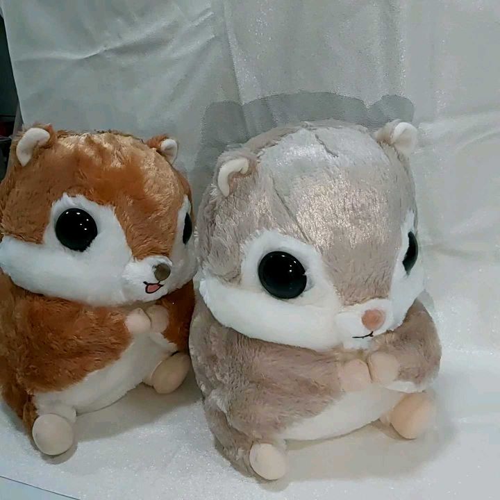 #Toreba#Flying Squirrel Big 37cm.#Japan# แจ้งสีในแชตนะคะ | Lazada.co.th
