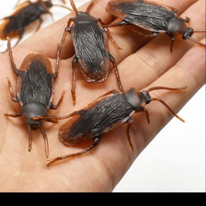 ipis toys 10 pcs | Lazada PH