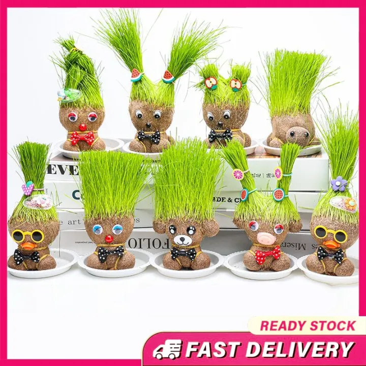 Grass Head Room Decor Children Growing Grass Doll Toys Indoor Office ...