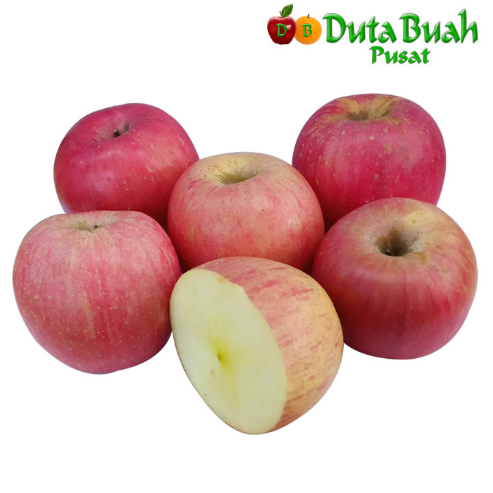 DUTA BUAH APEL FUJI RRC (900G-1KG/4-6buah) | Lazada Indonesia