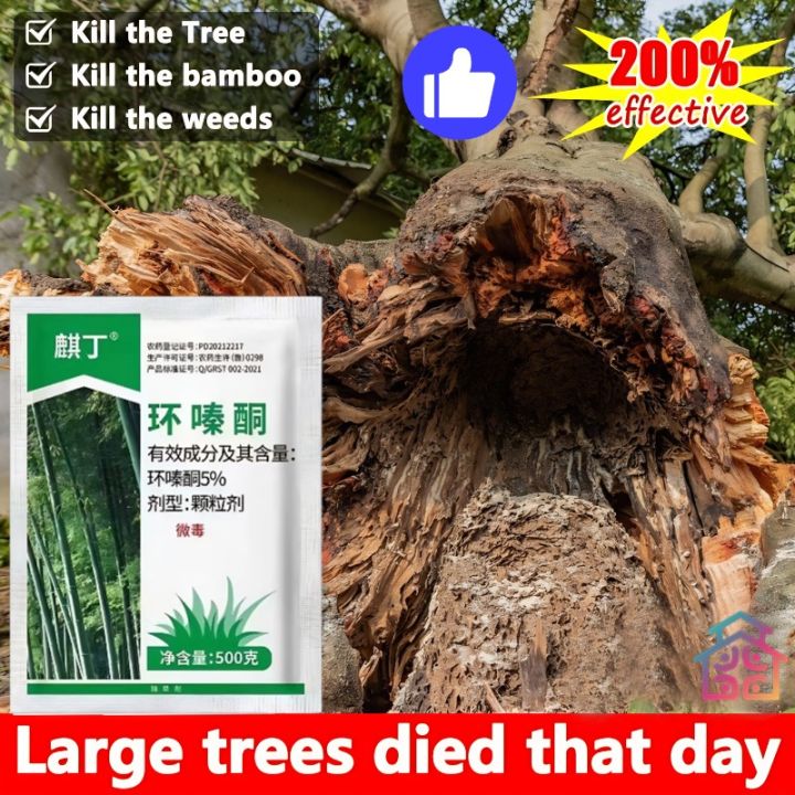 tree killer chemical herbicide to kill tree 500g Contains up to 5% ...