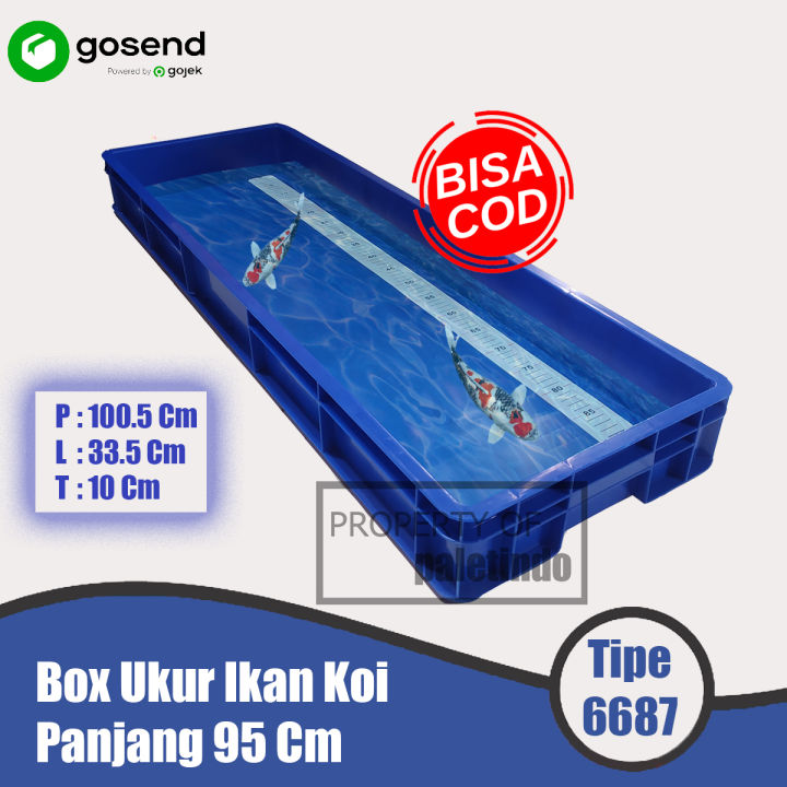 Bak Ukur Ikan Koi 95 Cm NEW MODEL Tipe 6687 | Lazada Indonesia