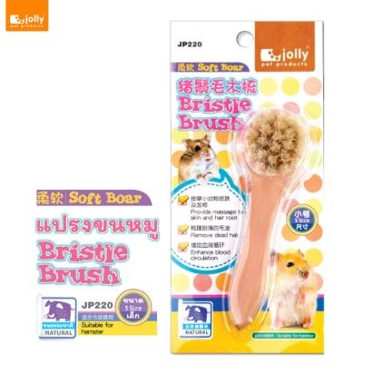 Jolly-New Natural Boar Hair Wooden Soft Bristle Brush Special for ...