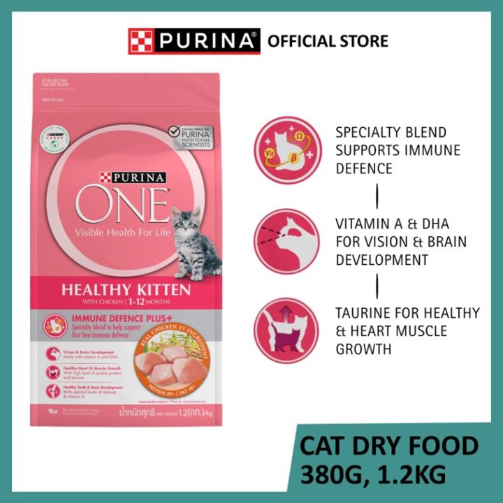 Purina ONE Healthy Kitten Dry Cat Food 380g, 1.2kg | Lazada Singapore