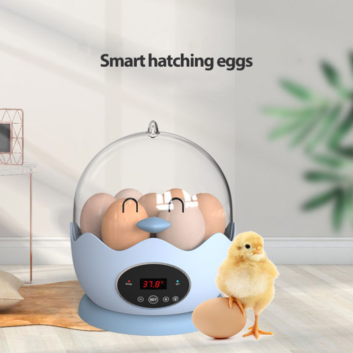Children's Incubator for Egg Automatic Chicken Reed Incubator Egg ...