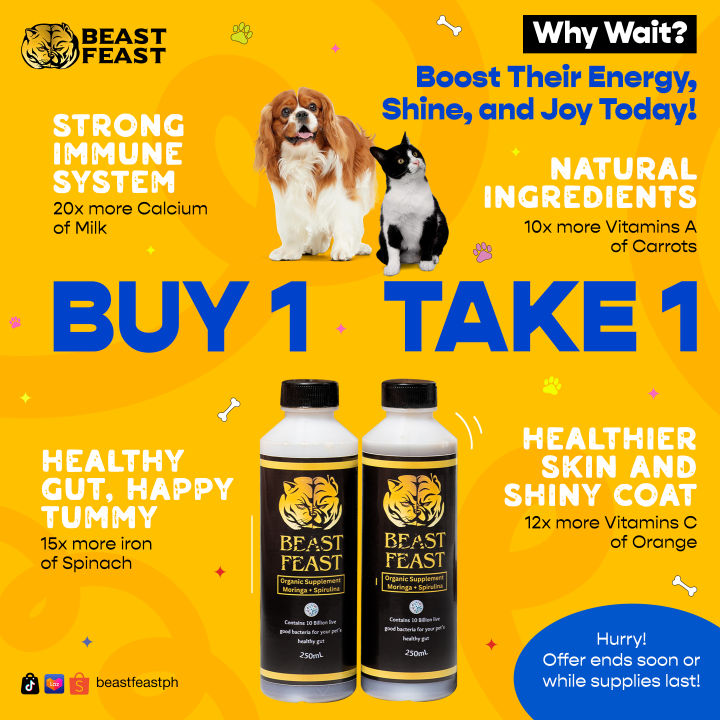 Beast Feast Multivitamins Supplement for Dogs, Cats & All Pets Natural ...