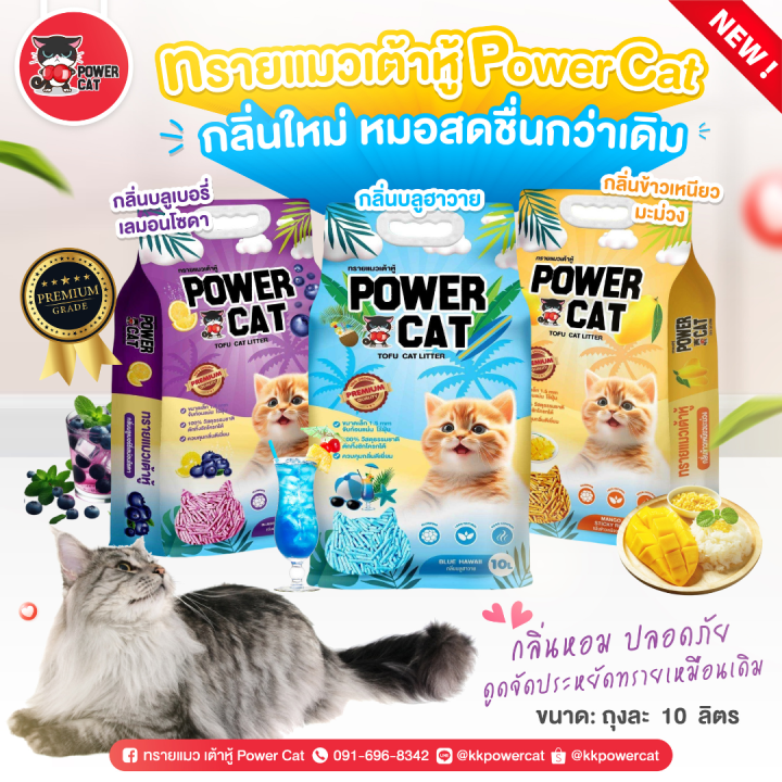 ทรายแมวเต้าหู้ power cat 10L. กลิ่นใหม่ | Lazada.co.th