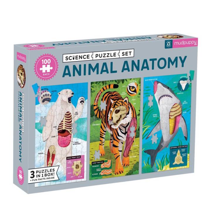 Animal Anatomy Science Puzzle Set จิ๊กซอว์ชุดความรู้วิทยาศาสตร์ : ลาย ...