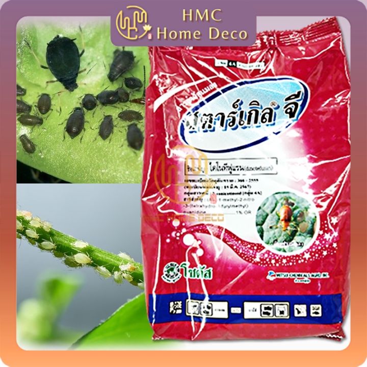 THAILAND STARKLE G 1KG INSECTICIDE OUTDOOR GARDENING 植物抗虫 介壳虫 | Lazada