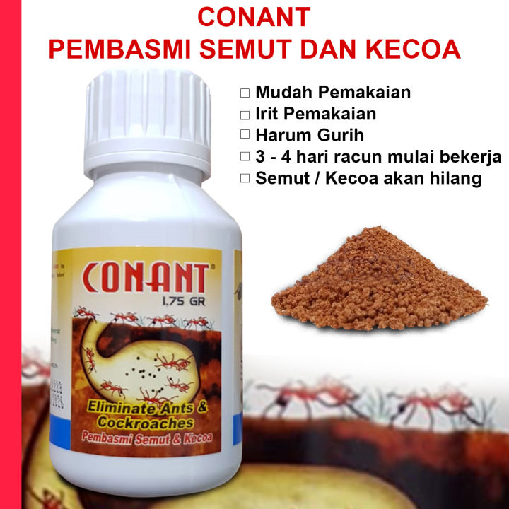Kemut Racun Semut / Racun Kecoa / Conant | Lazada Indonesia