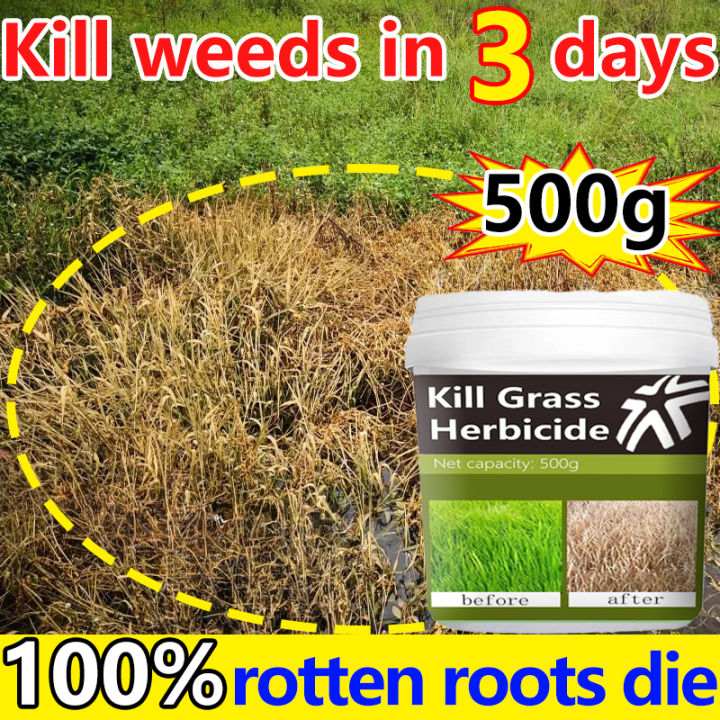 kill grass herbicide 500g demolition herbicide grass killer herbicide ...