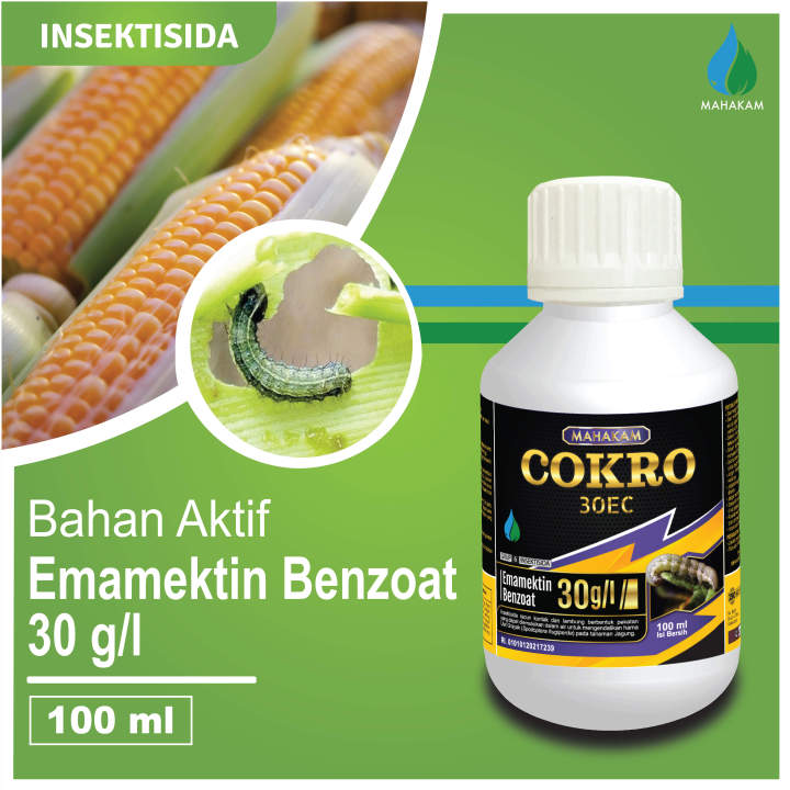 Mahakam Cokro 30 EC 100 ml Insektisida Pestisida Pembasmi Hama Tanaman Jagung | Lazada Indonesia