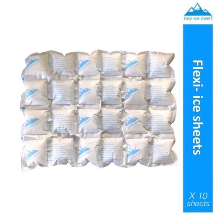 Flexi ice 2-ply 6x4 Ice sheets (Gel Ice Pack Substitute)- 10 Pieces ...