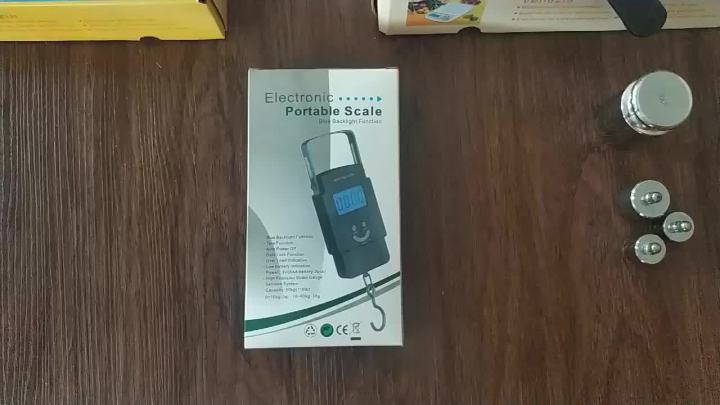 Household Black Handheld Scale 50kg Mini Scale Portable Electronic ...