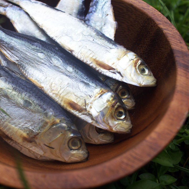 TUYO SALINAS MEDIUM SIZED | DRIED FISH | 500 Grams | Lazada PH