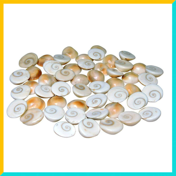 Small Goamathi | Gomti Chakras Shell/Stones | Original Gomathi Chakra ...