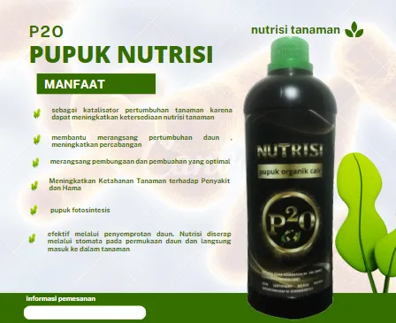 pupuk organik cair p2o nutrisi | Lazada Indonesia