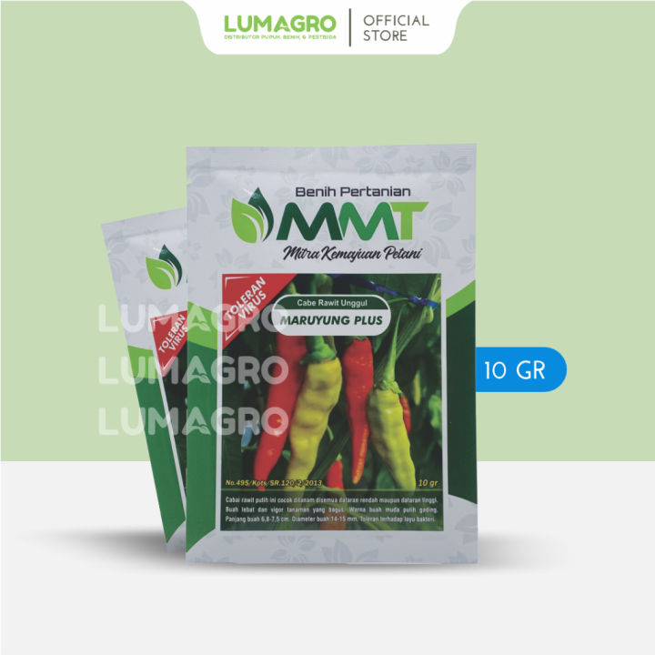 Benih Cabe Rawit Maruyung Plus 10gr Cabai Unggul Tahan Virus Penyakit ...