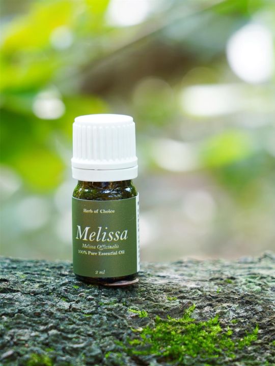 Shangxin-Melissa essential oil native to Bulgaria soothes the nerves and emotions master ...