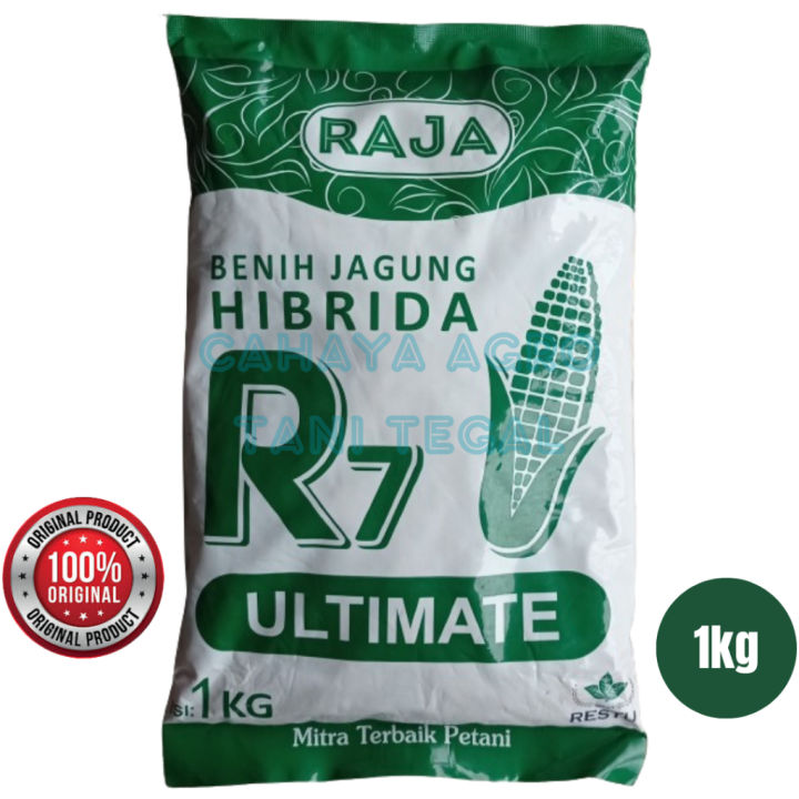 Benih jagung hibrida R7 ULTIMATE isi 1kg dari RAJA | Lazada Indonesia