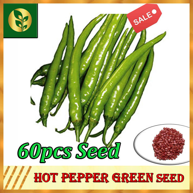 Green Hot Pepper Seeds | Chili Seeds | Sili Seeds | Siling Green ...