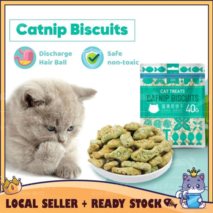 CATQUEEN 40g Cat Catnip Biscuits Snacks Biskut Kucing Vitamin Removing ...