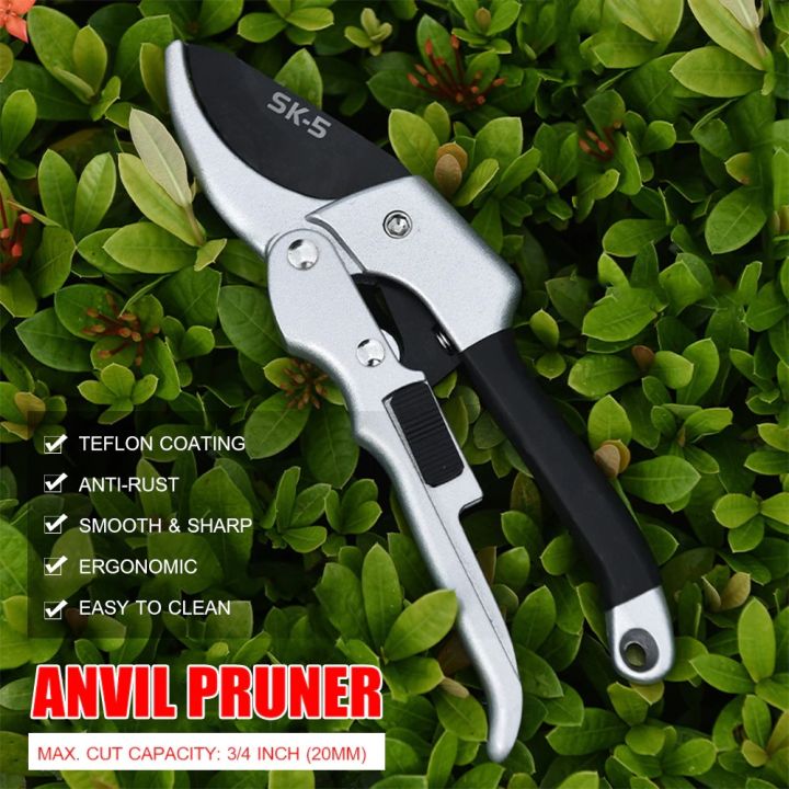 Gunting Taman Ranting Tumbuhan Bunga Garden Pruning Shear Scissors ...