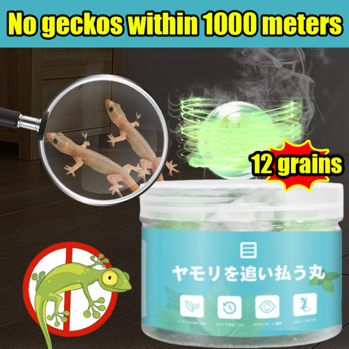 No geckos within 1000 meters QNS lizard repellent lizard killer lizard ...
