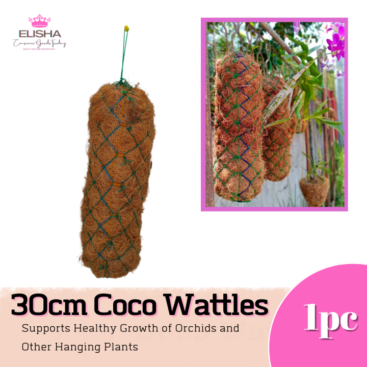 ELISHA l Coco Fiber Wattles (30cm) Supports Healthy Growth of Orchids ...