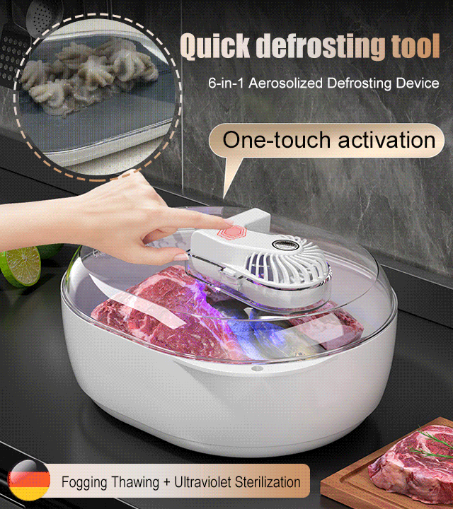 Food Preservation And Thawing Defroster 6-In-1 Atomized Quick Thawing ...