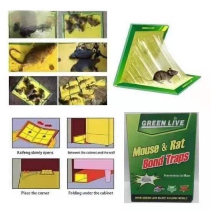 STICKY MOUSE TRAP RAT BOND TRAP Reusable Rat Trap Catching mice mouse ... STICKY MOUSE TRAP RAT BOND TRAP Reusable Rat Trap Catching mice mouse ...