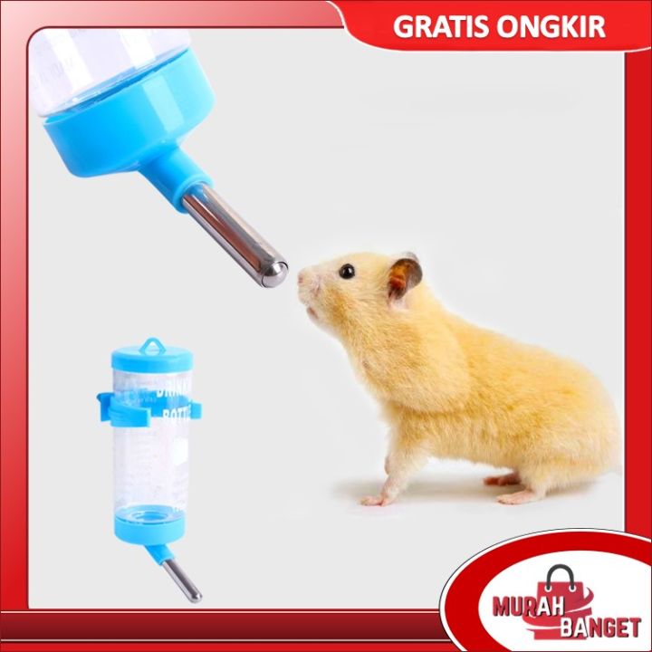 Murah Banget - Botol Dot Tempat Minum Gantung Kelinci & Hamster / Botol ...