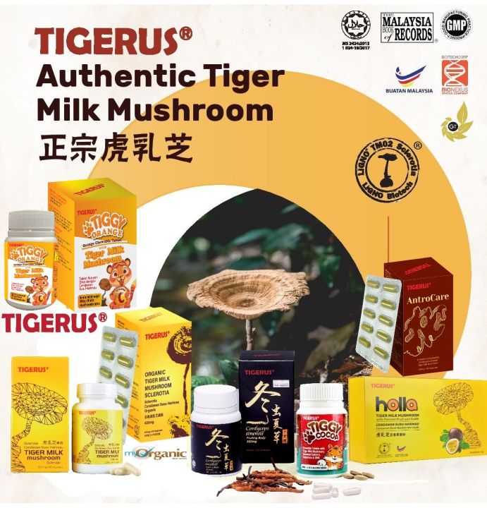 [TIGERUS OFFICIAL - AUTHORIZED SG SELLER] - Tiger Milk Mushroom 300mg ...