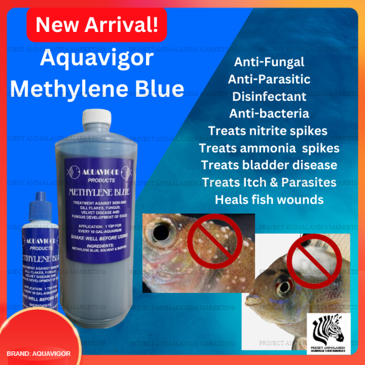 1L Aquavigor Methylene Blue Fish Anti-Fungus & Itch Formula Fish ...