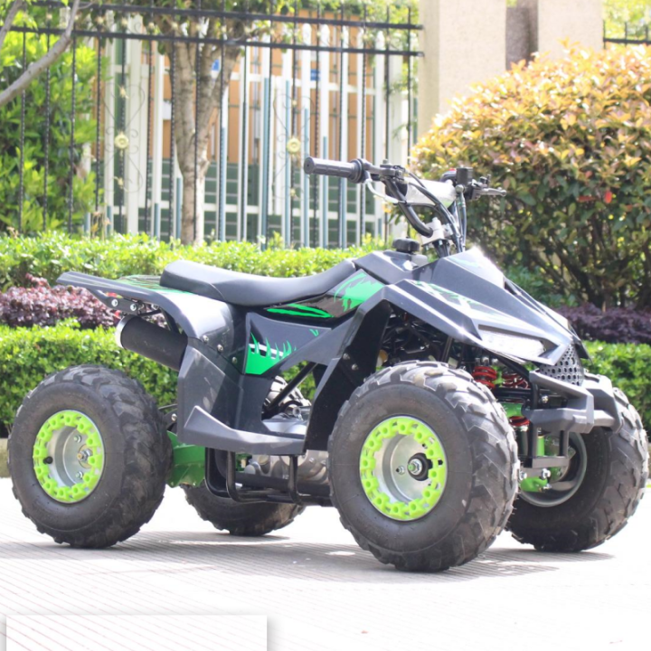 All-terrain bully beach motorcycle 125cc adult mini-walking mountain ...