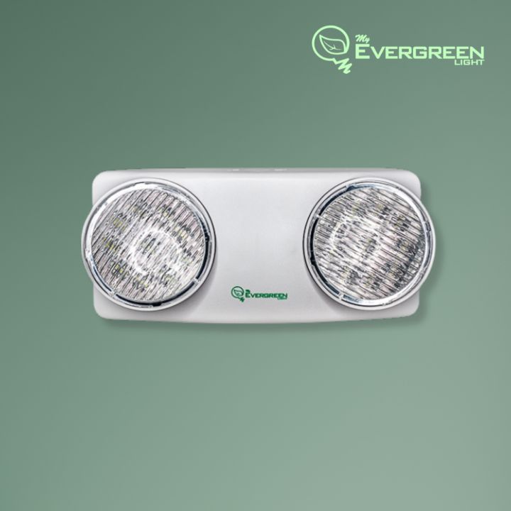 My Evergreen Light Emergency Light Wall Mounted and Ceiling Mounted for ...