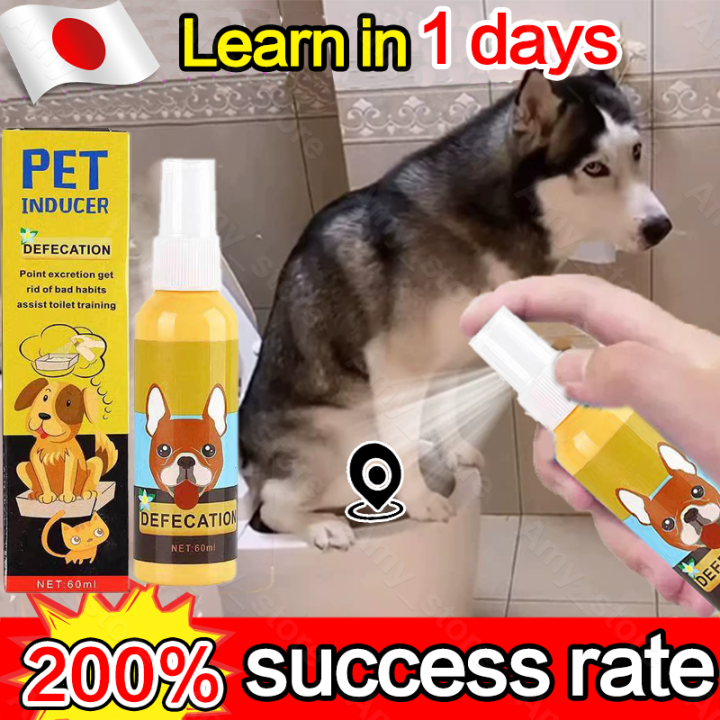 Potty Trainer for Dogs training Learned on the day Defecation at fixed ...