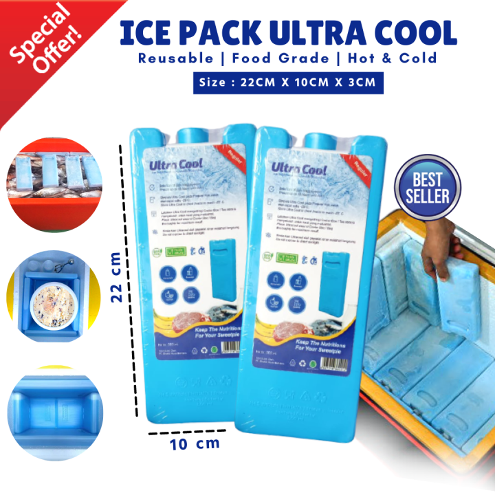ICE PACK KOTAK BLUE ICE Ukuran 22x10x3 cm Tempat Pendingin Makanan Beku ...