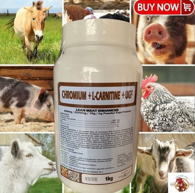 Chromium + L-Carnitine + UGF/ Lean Meat Enhancer/ Powder Feed Premix ...