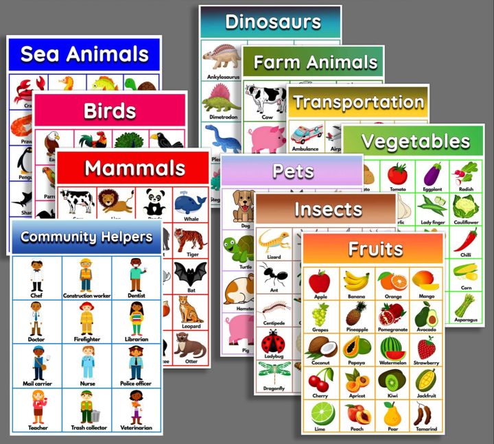 Vocabulary minimalist Laminated Educational Charts for Kids (A4-size ...
