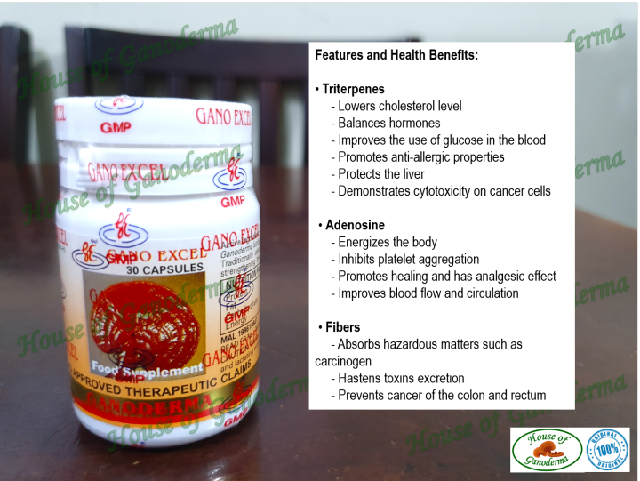 Gano iTouch Ganoderma Lucidum (30 Capsules) | Lazada PH