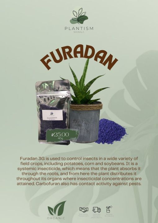 FURADAN Insecticide | Lazada PH