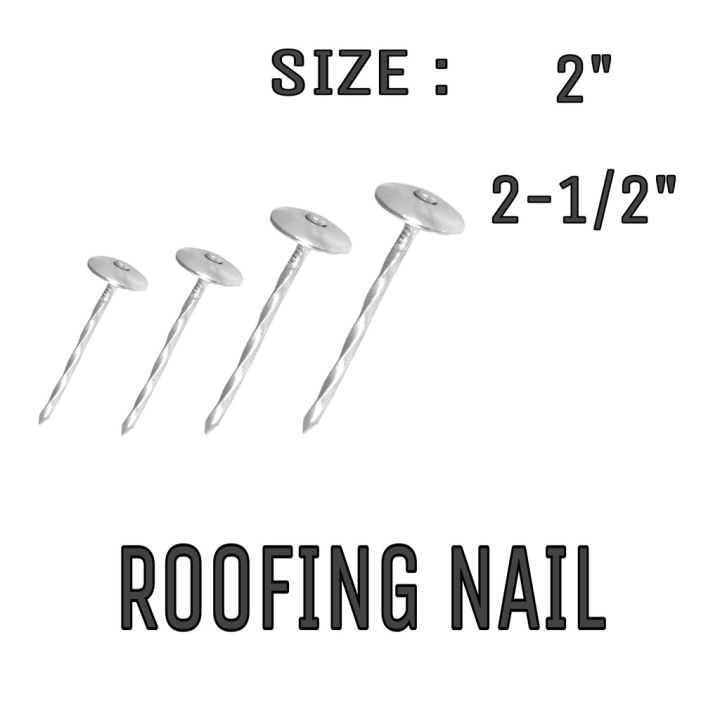 ROOFING NAIL / PAKU PAYUNG BUMBUNG / Paku Zink 2'' & 2 1/2'' 1KG | Lazada