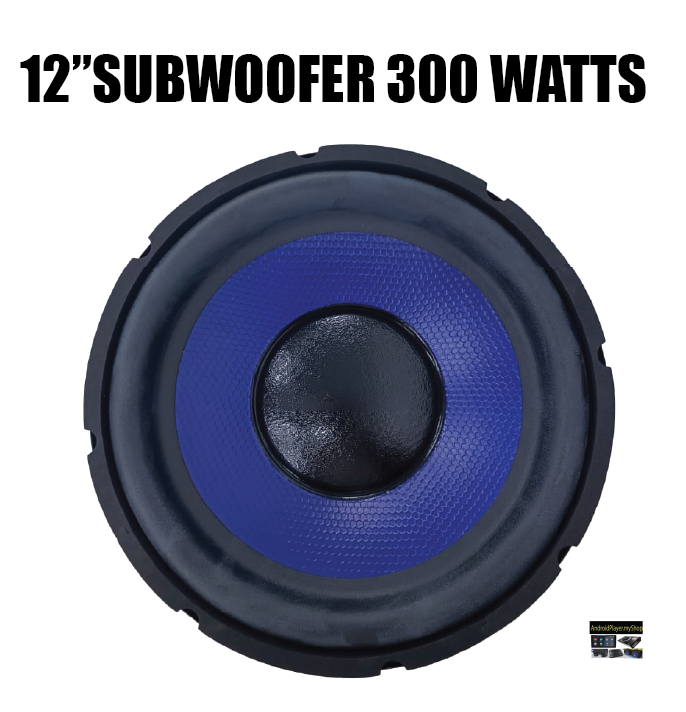 12"Subwoofer High Power 300 Watts USED | Lazada